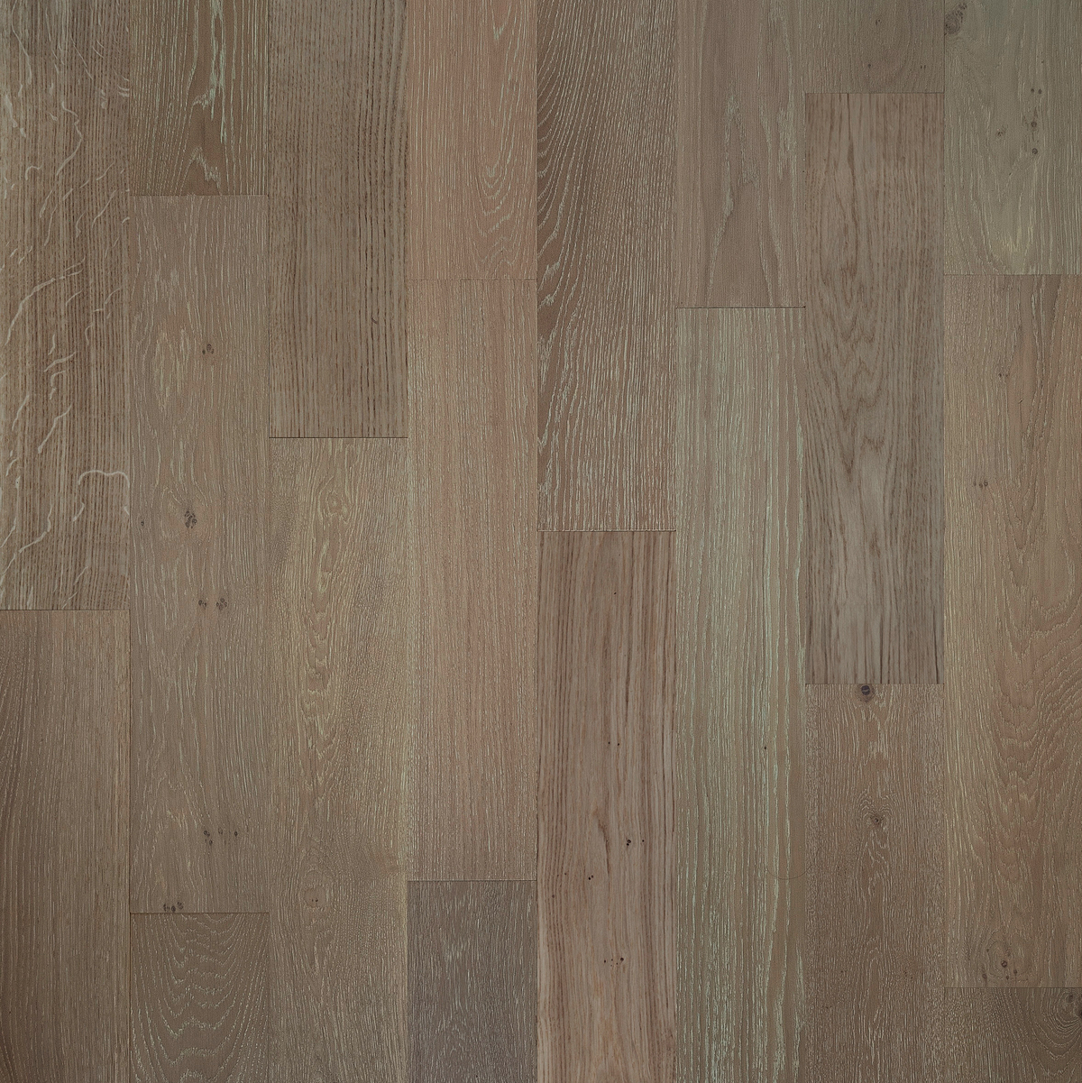 CHAMPACA PRESTIGE OAK Engineered Wood Flooring Cashmere / Random-Planks ...